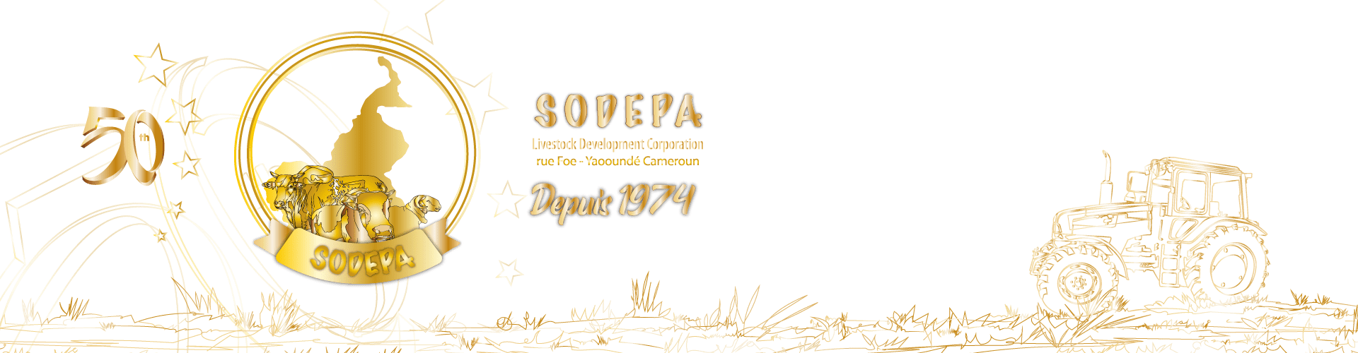 Sodepa | Bespirits, Agence de communication Garoua Cameroun
