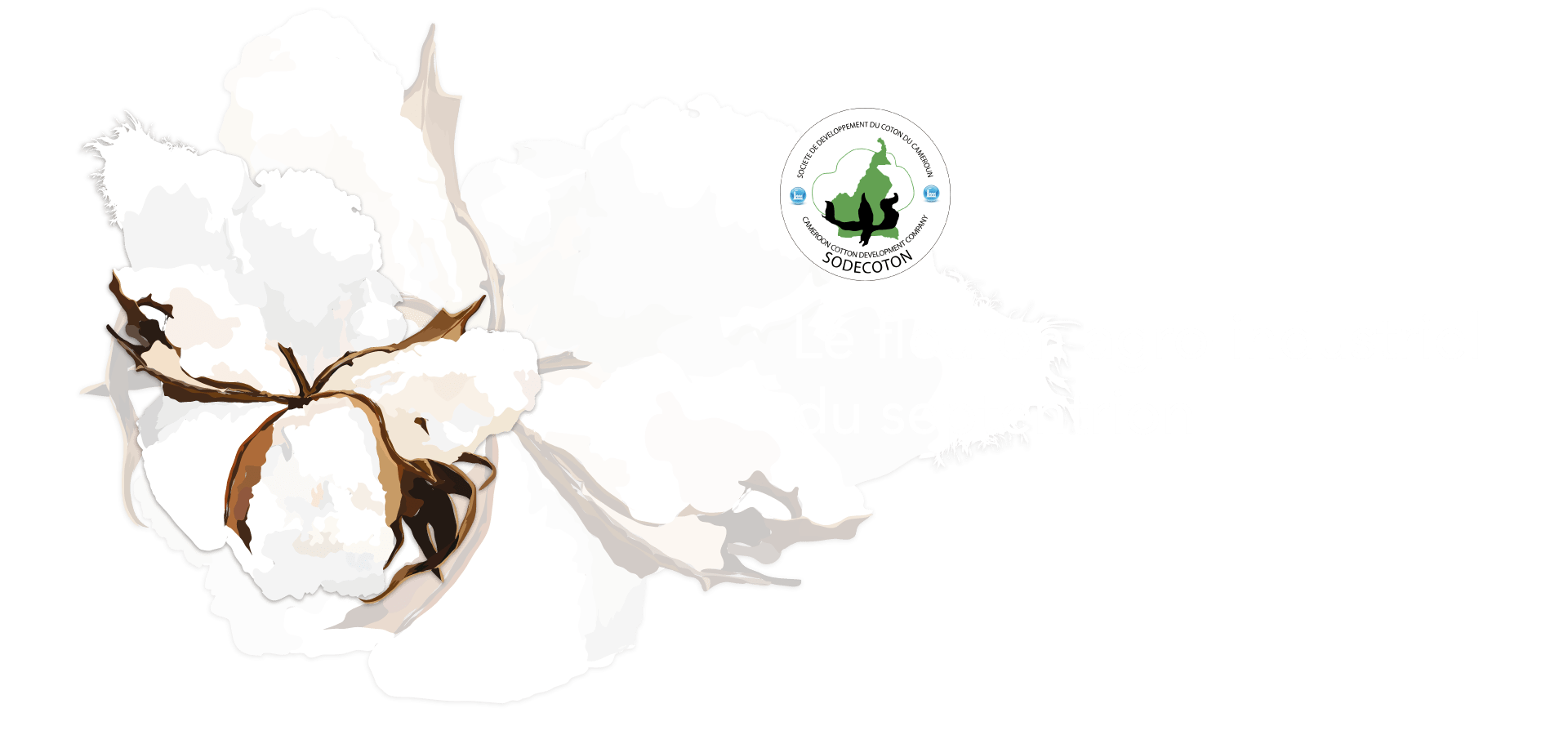 Sodecoton | Bespirits, Agence de communication Garoua Cameroun